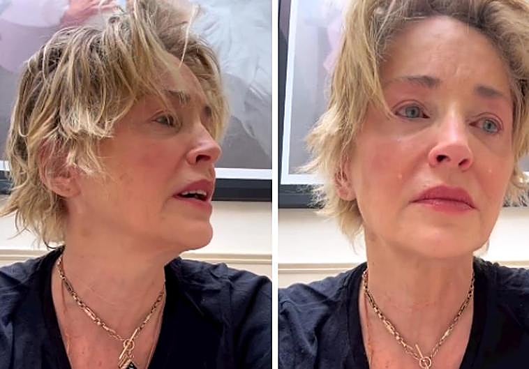 Sharon Stone llora en un desgarrador vídeo la muerte de su hermano | El ...