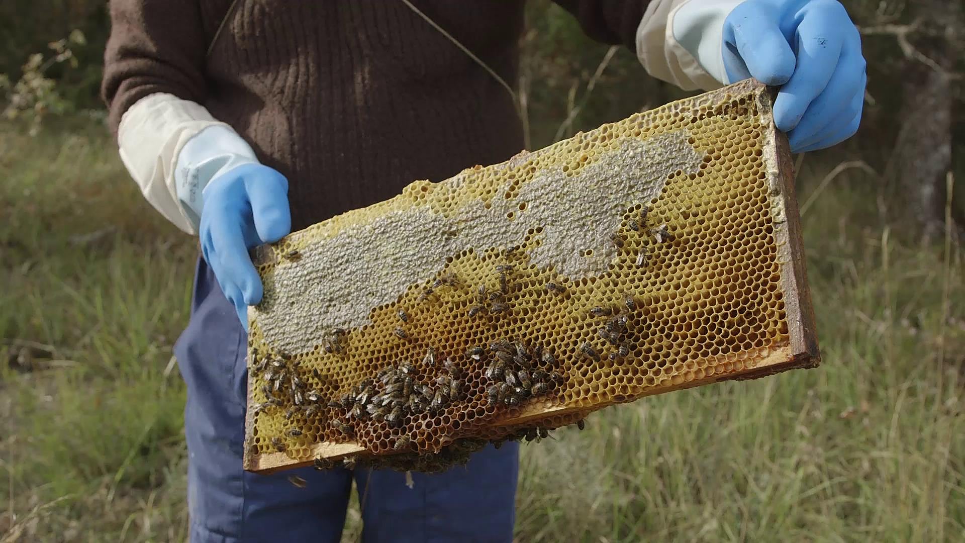 Izkiko Parke Naturalak besoak zabalik hartuko zaitu udaberri honetan ...
