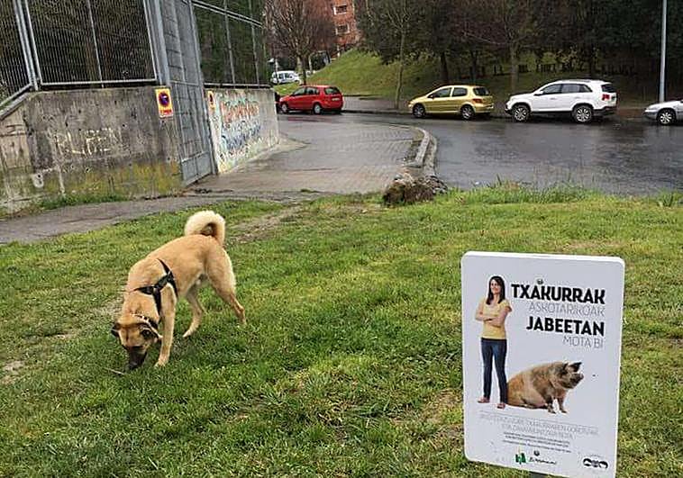 Basauri regala botellas de agua pleglables para limpiar la orina de los ...