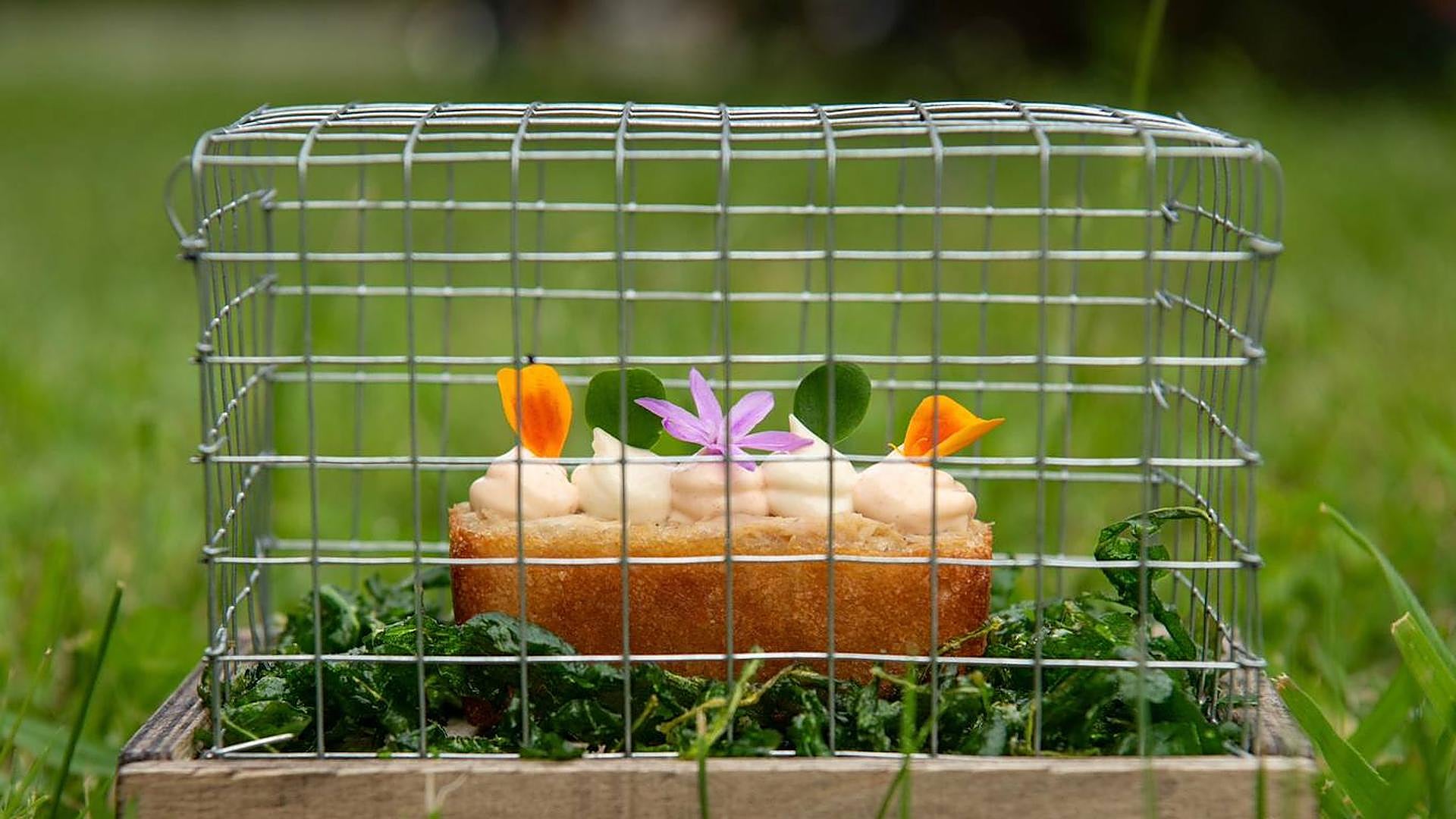 El Kobika de Durango obtiene un accésit en el concurso nacional de ...