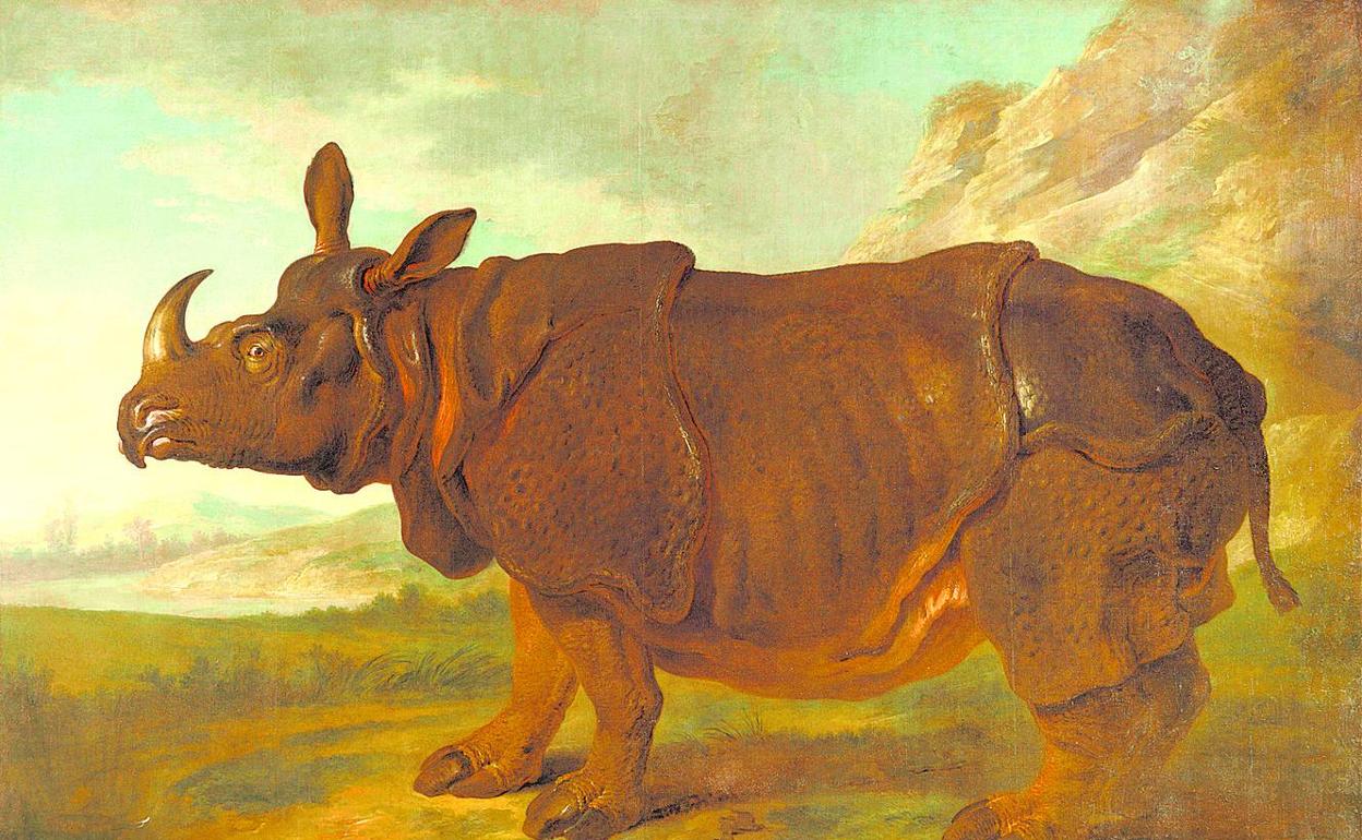 Un rinoceronte y otros animales | El Correo