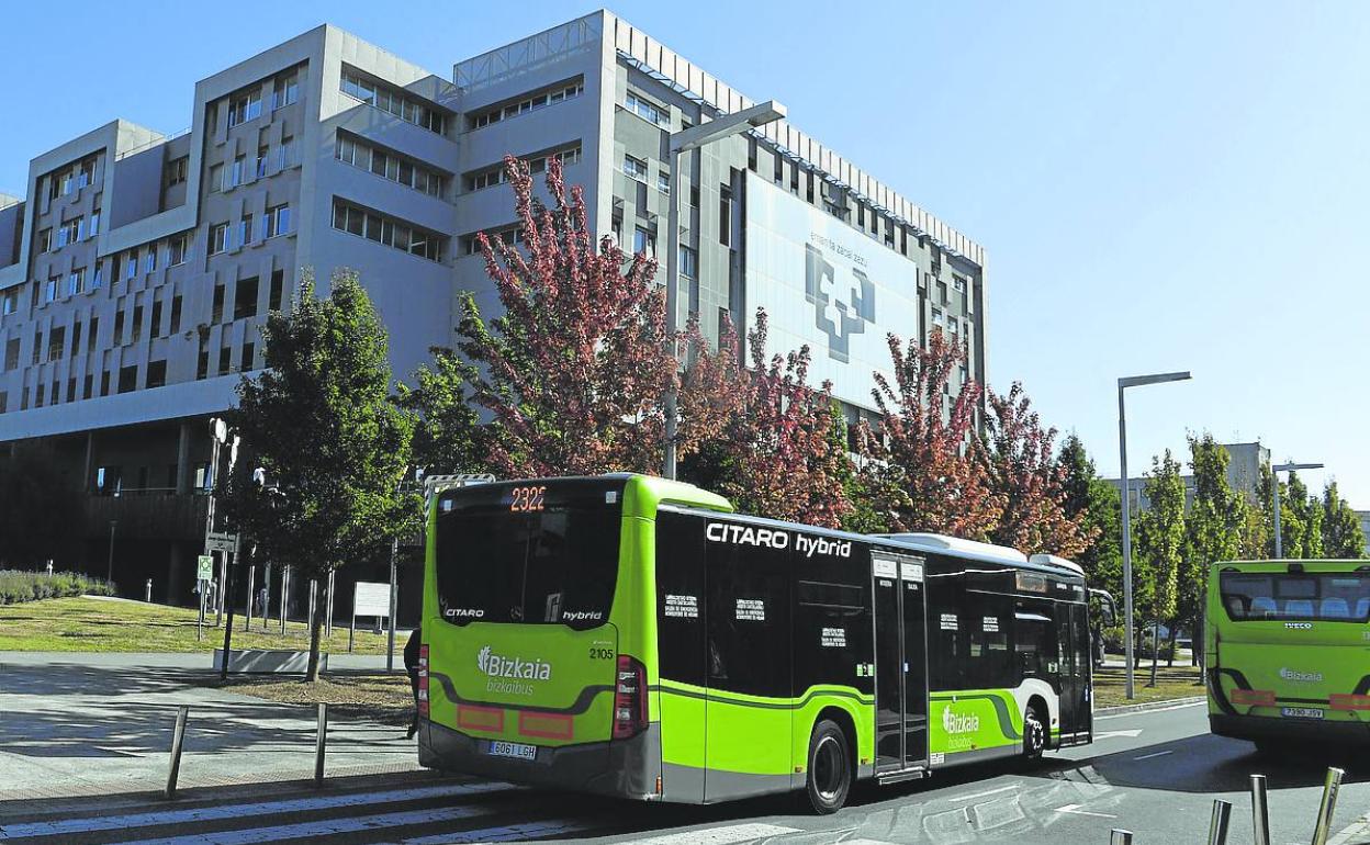 Bizkaibus remonta en 2022 y recupera el 91% de los usuarios de antes ...