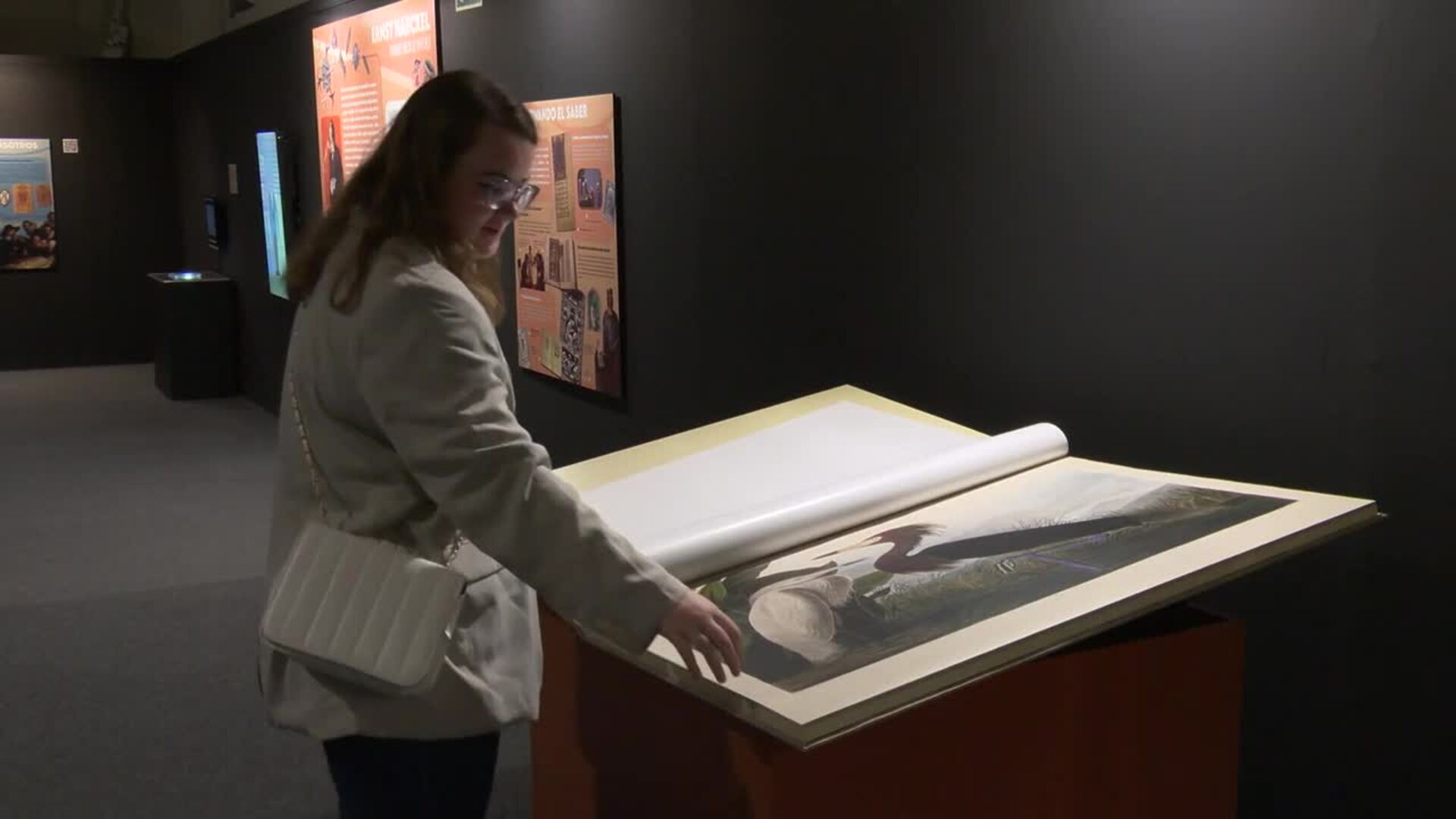 Una exposición recrea en Valladolid animales extintos, películas y ...