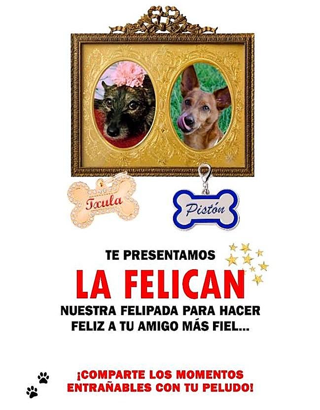 El bar que lanza sándwiches para perros | El Correo