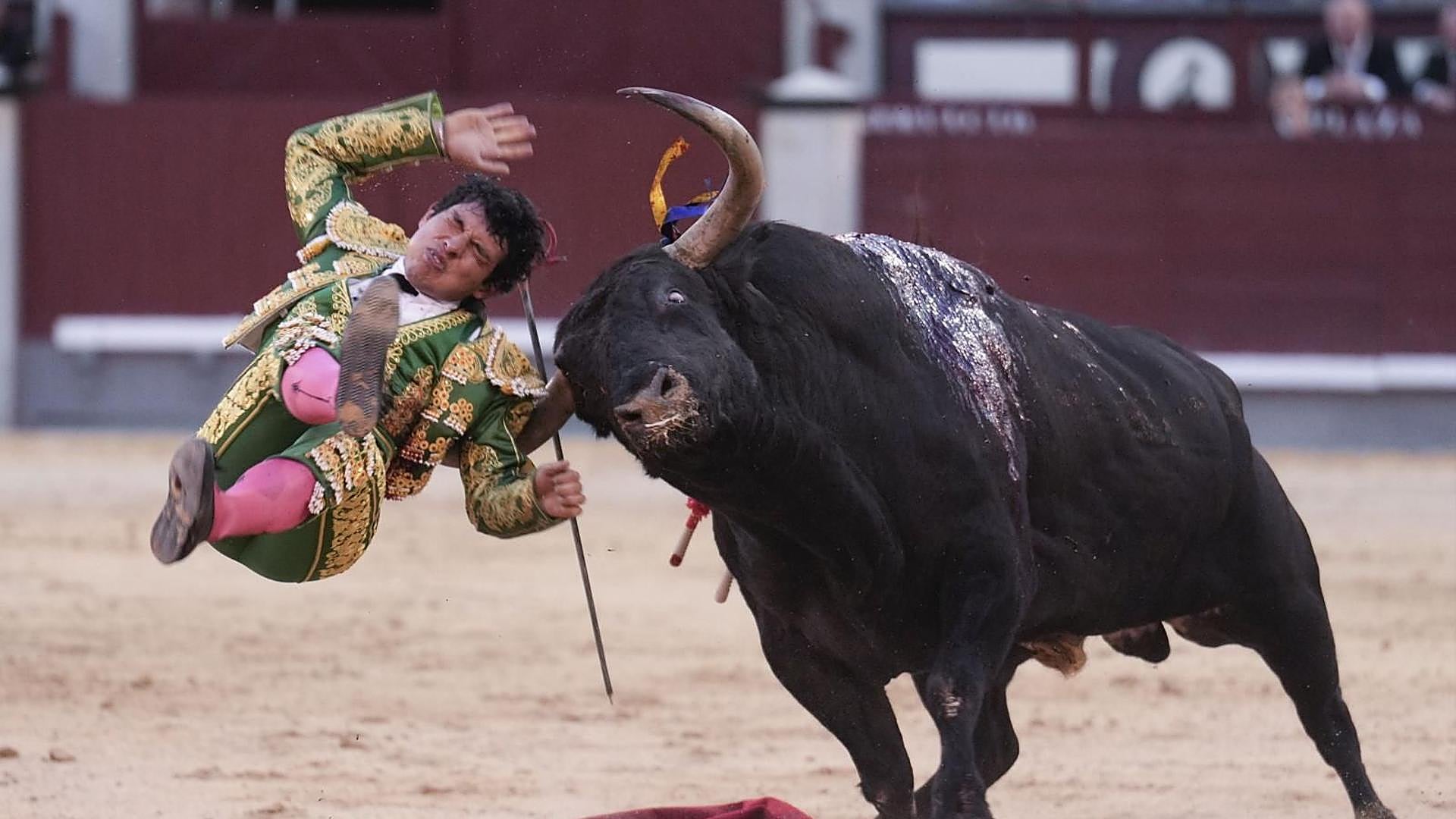 La espeluznante cogida al torero mexicano Isaac Fonseca en Las Ventas ...