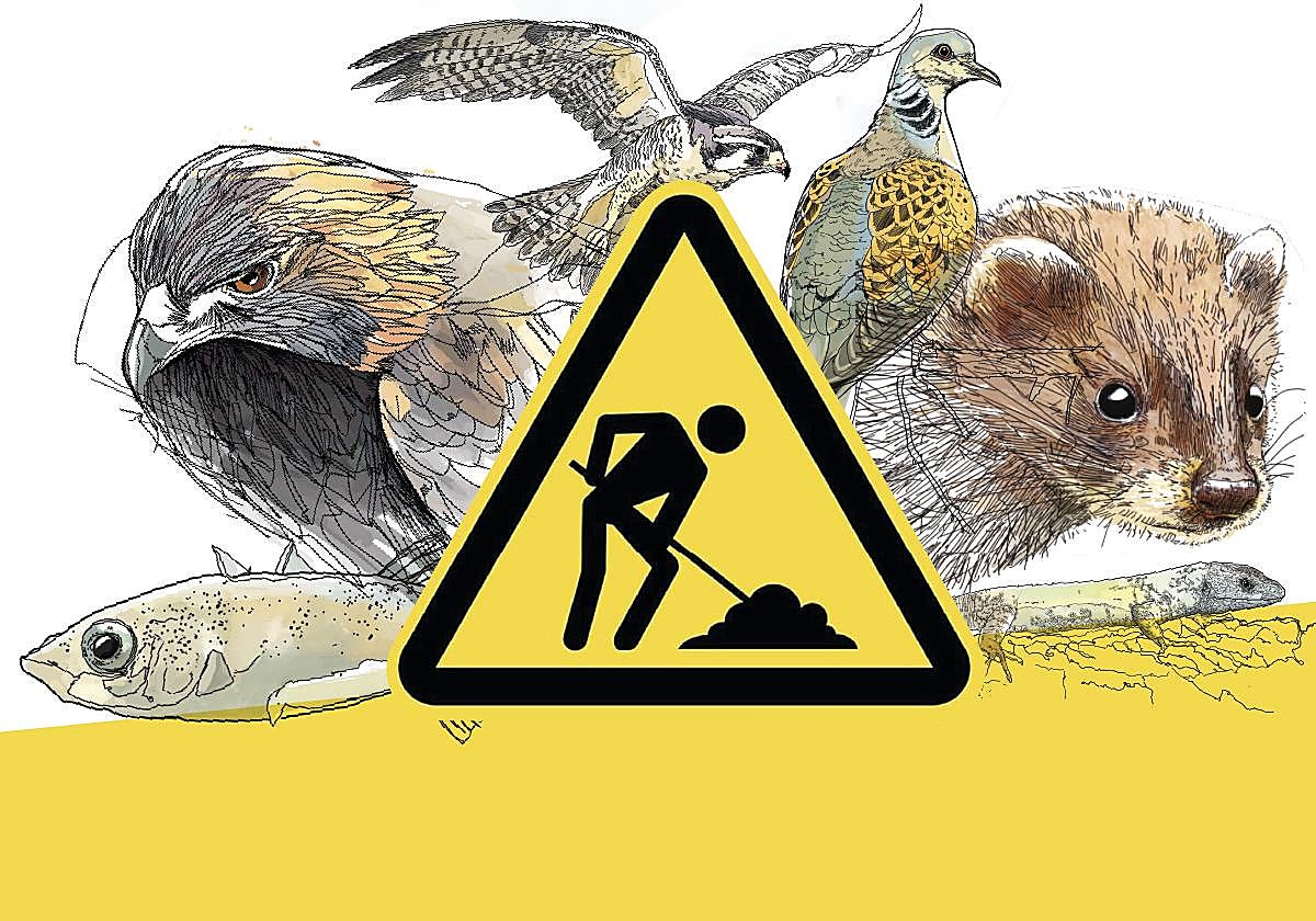 Los animales que paralizan y modifican obras, ferrocarriles o parques ...