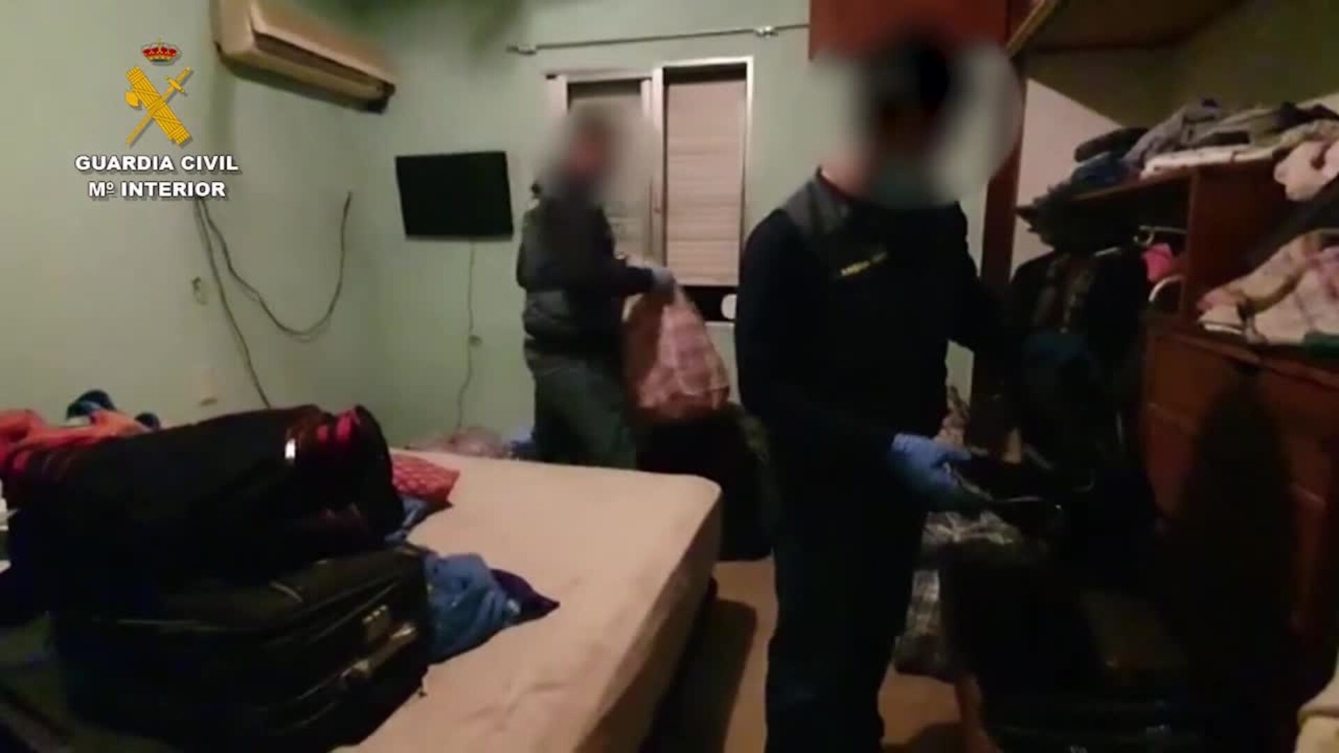 Guardia Civil detiene a 49 personas por cultivo de marihuana | El Norte de Castilla