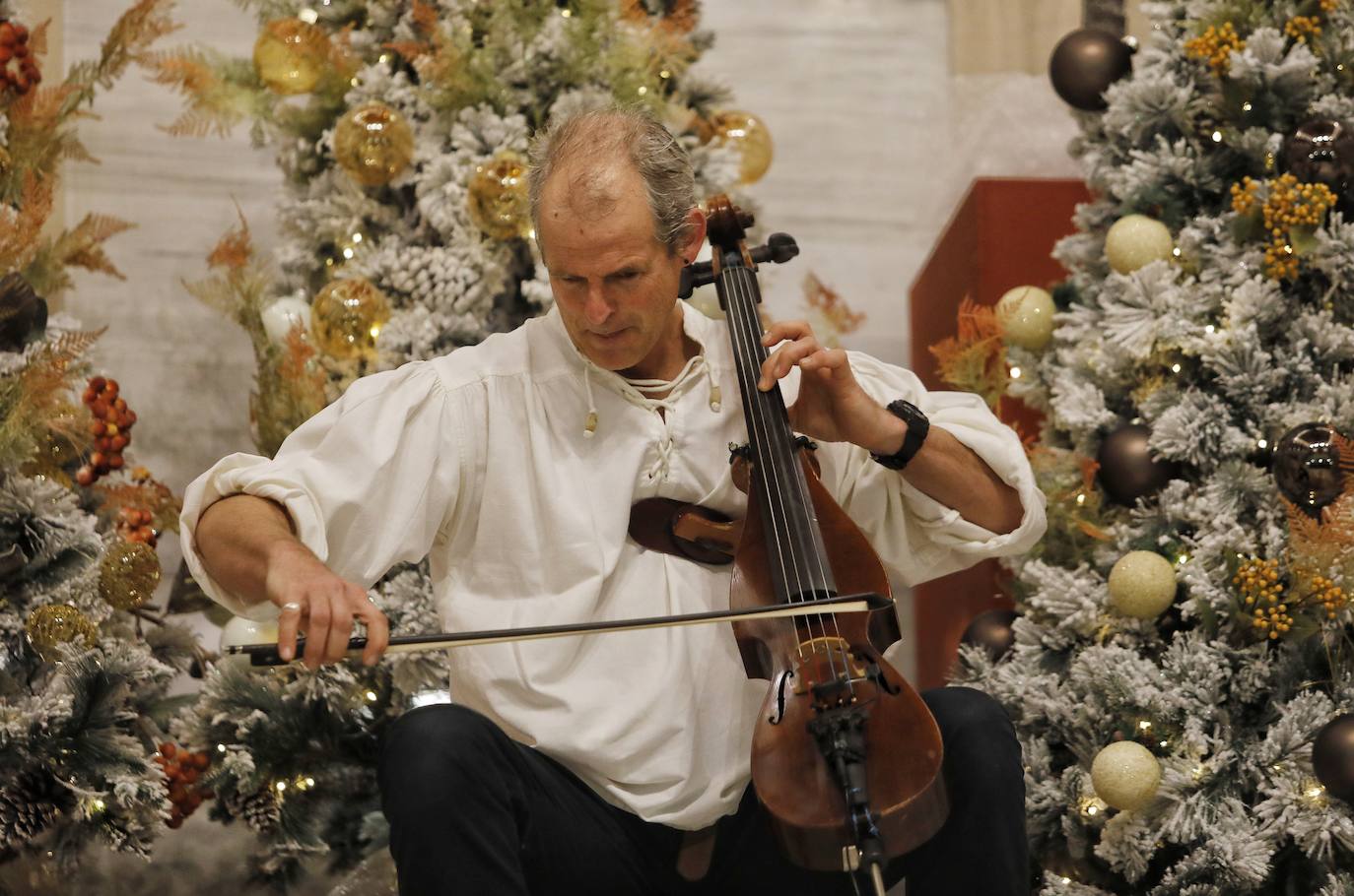 Fotos: John Fellingham y la Tuna de Derecho regalan música en Palencia ...