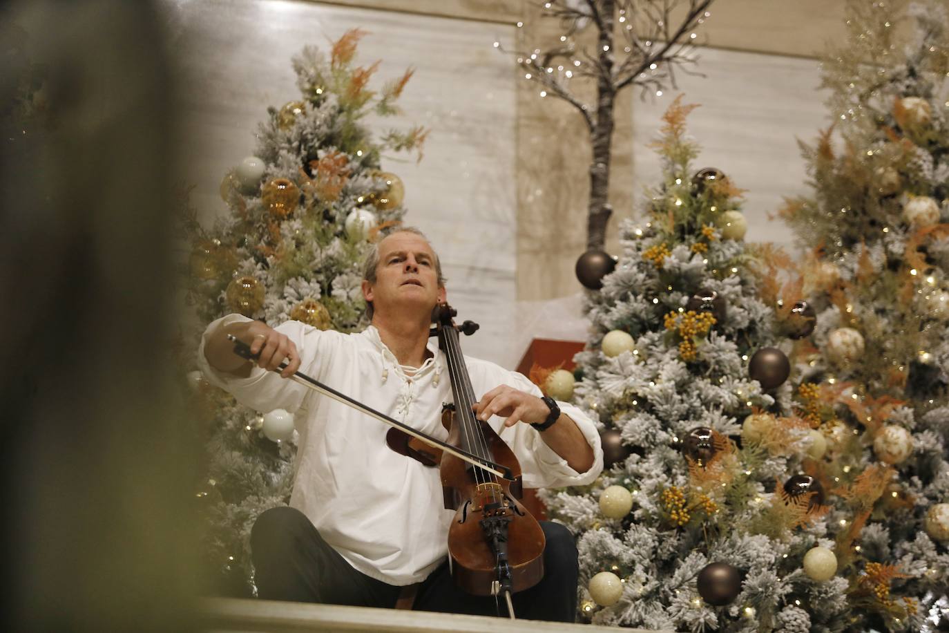 Fotos: John Fellingham y la Tuna de Derecho regalan música en Palencia ...