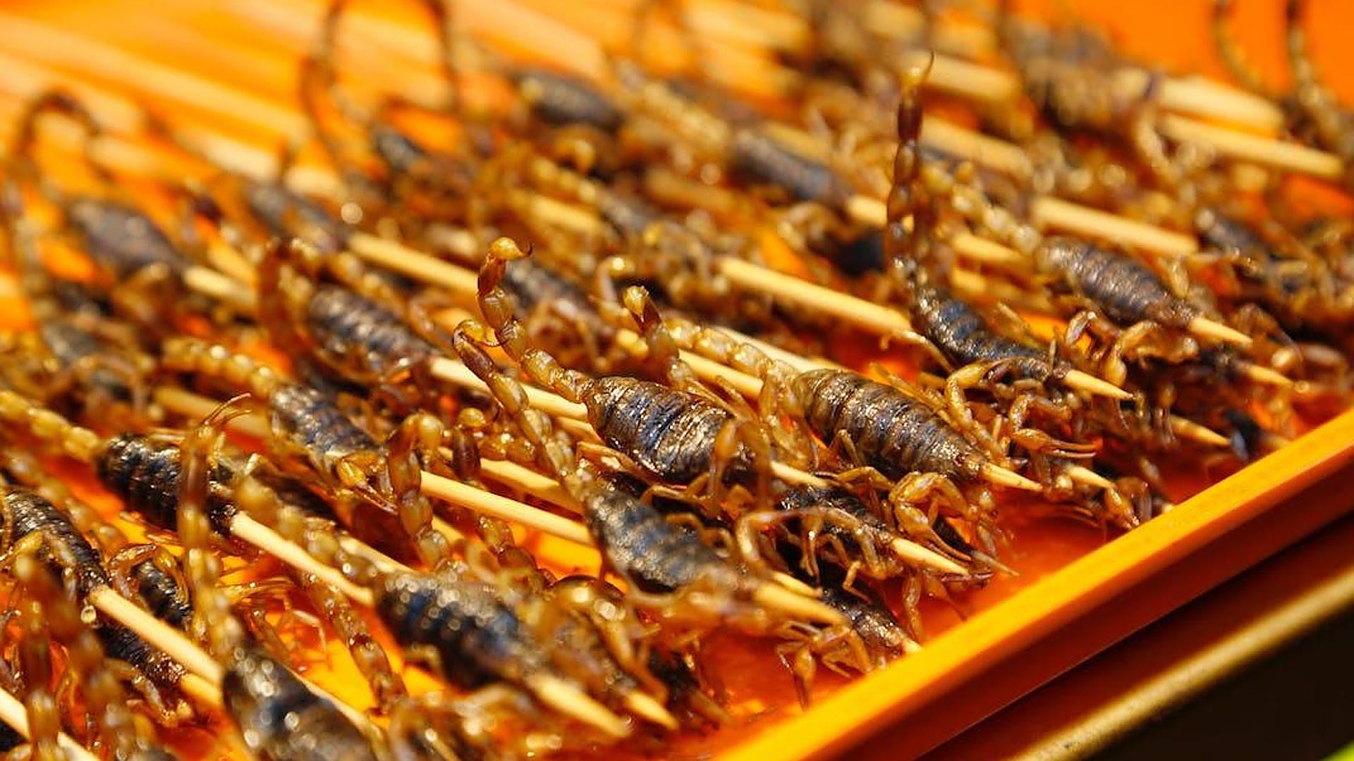 ¿Son los insectos un alimento seguro? | El Norte de Castilla