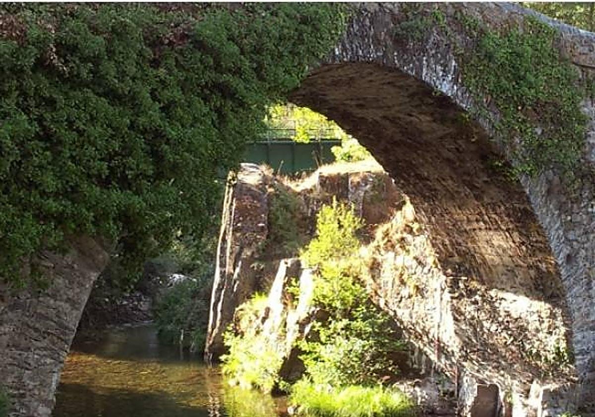 Palacios del Sil busca en la naturaleza su transformación | El Norte de ...