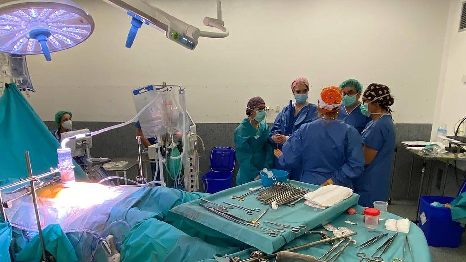 Valladolid: El Río Hortega logra la supervivencia en tumores invasivos ...