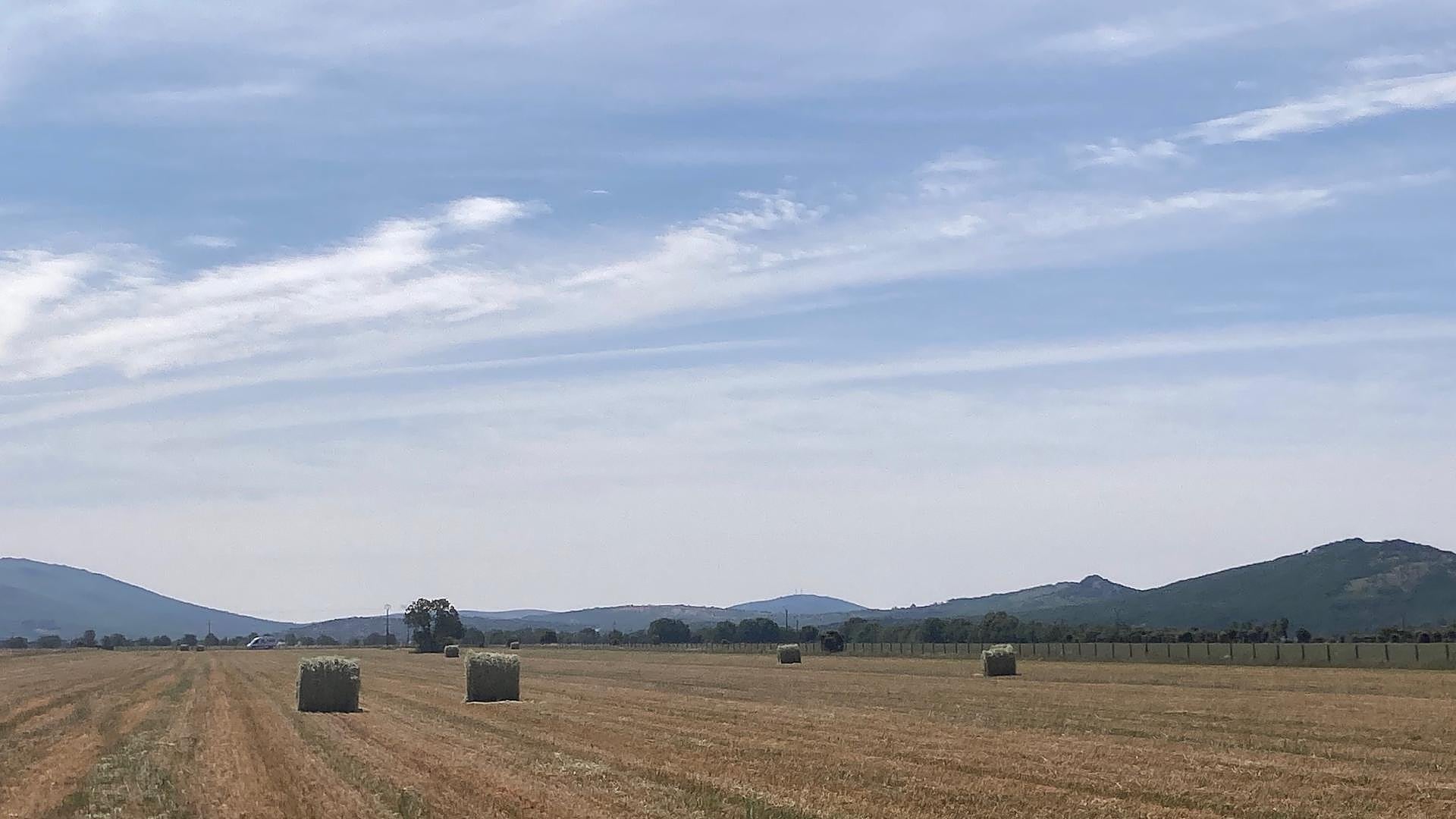 El forraje sigue imparable en la lonja de León | El Norte de Castilla