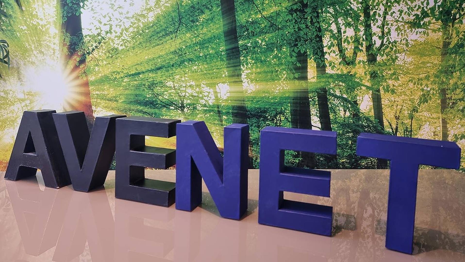 AVENET IT, equipo y talento para soluciones innovadoras | El Norte de ...