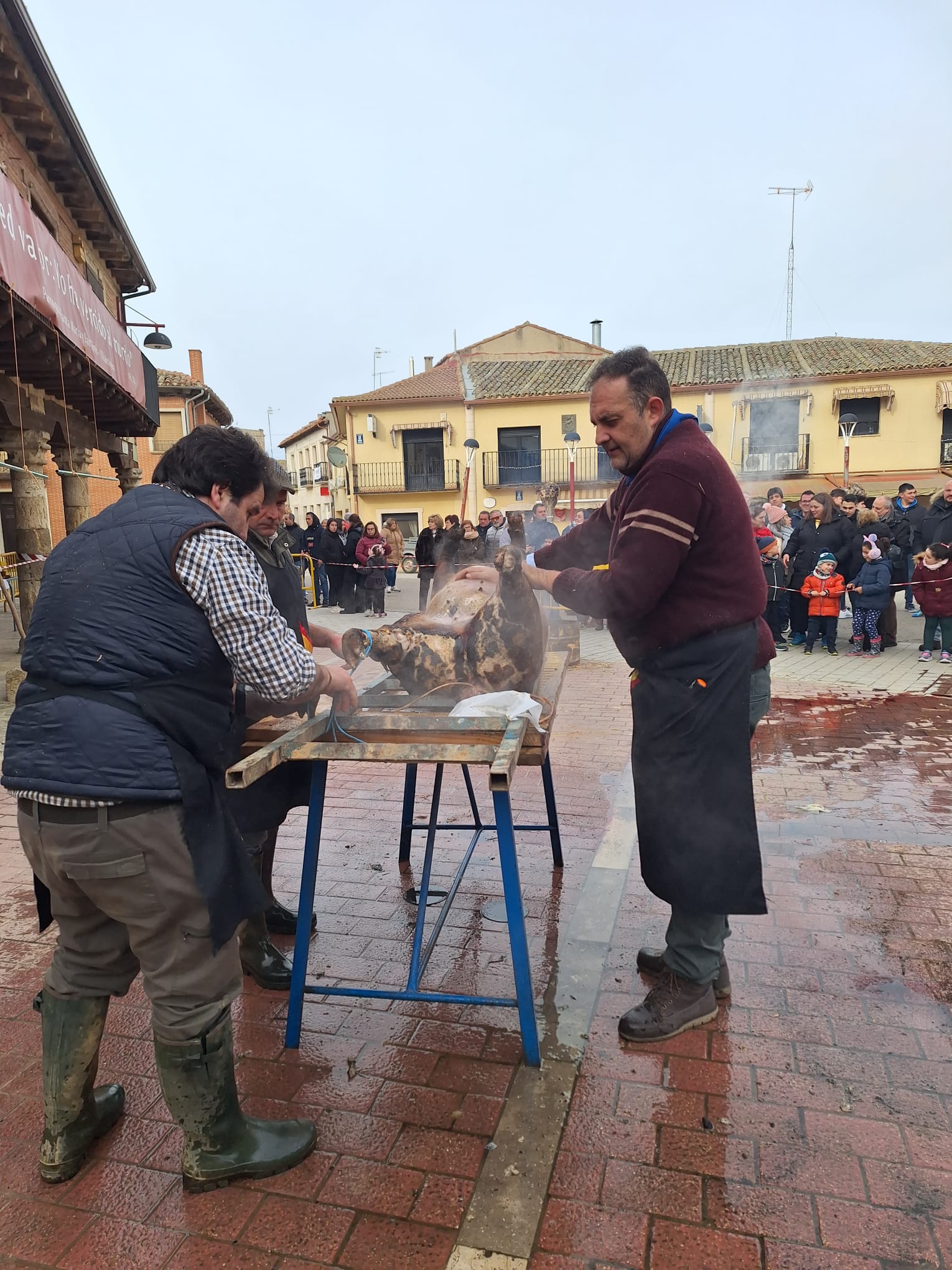Cientos de personas participan en el rito de la matanza en Villabrágima ...