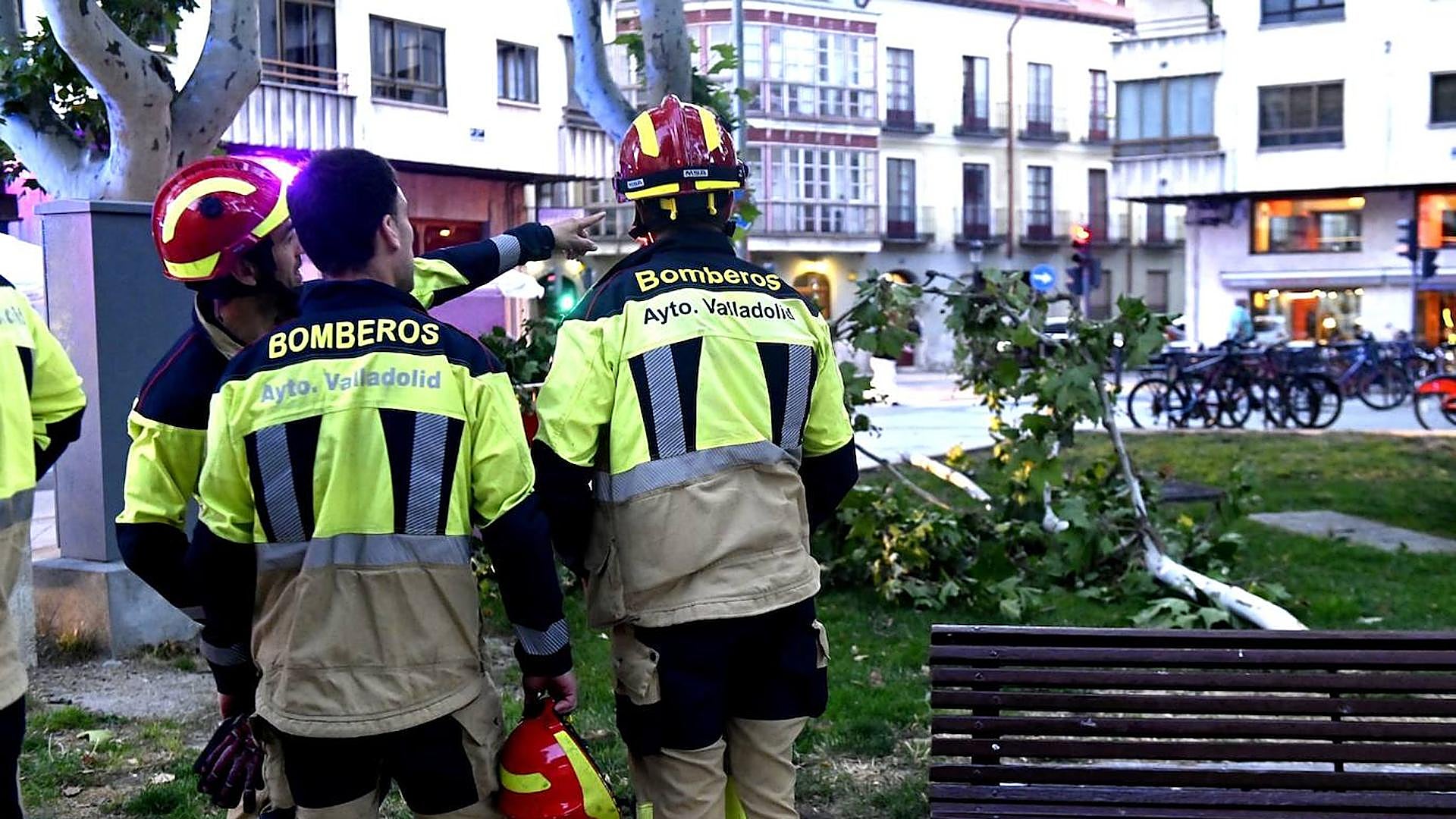 Valladolid: Una rama de grandes dimensiones cae de un árbol en la plaza ...
