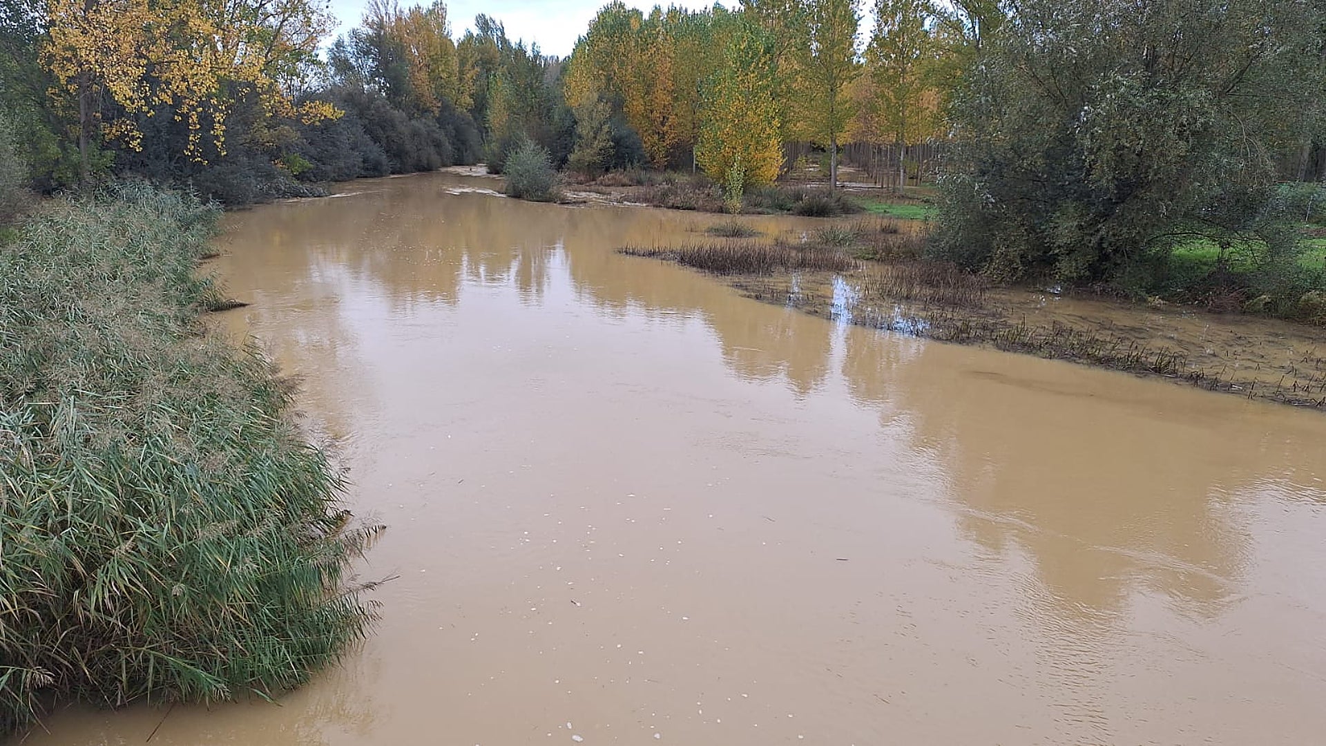 Valladolid: El río Cea comienza a desbordarse y el Valderaduey está a ...
