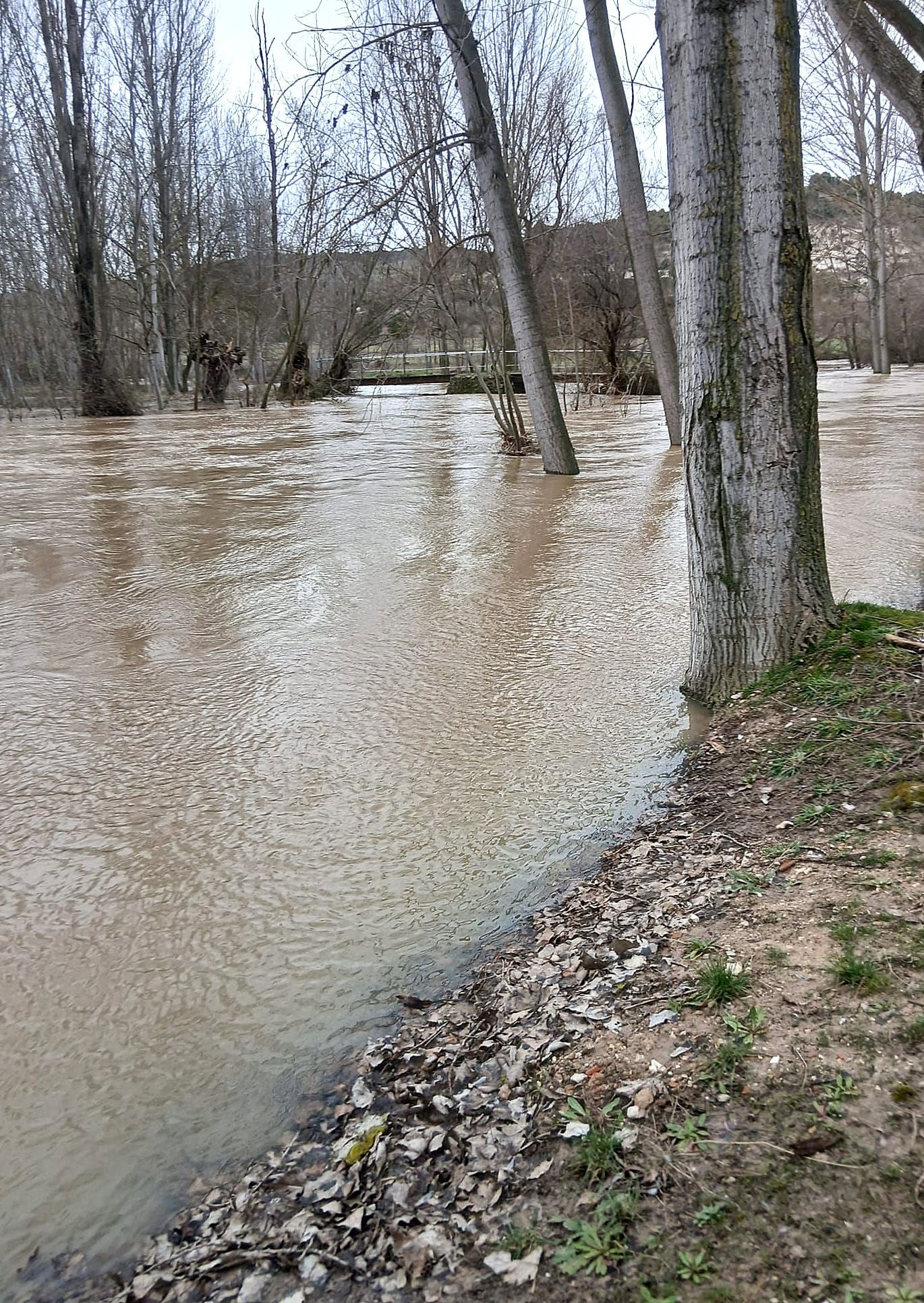 Las imágenes del estado del río Duratón a su paso por Rábano | El Norte ...