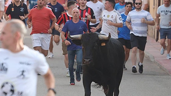 Toros, últimas noticias - El Norte de Castilla