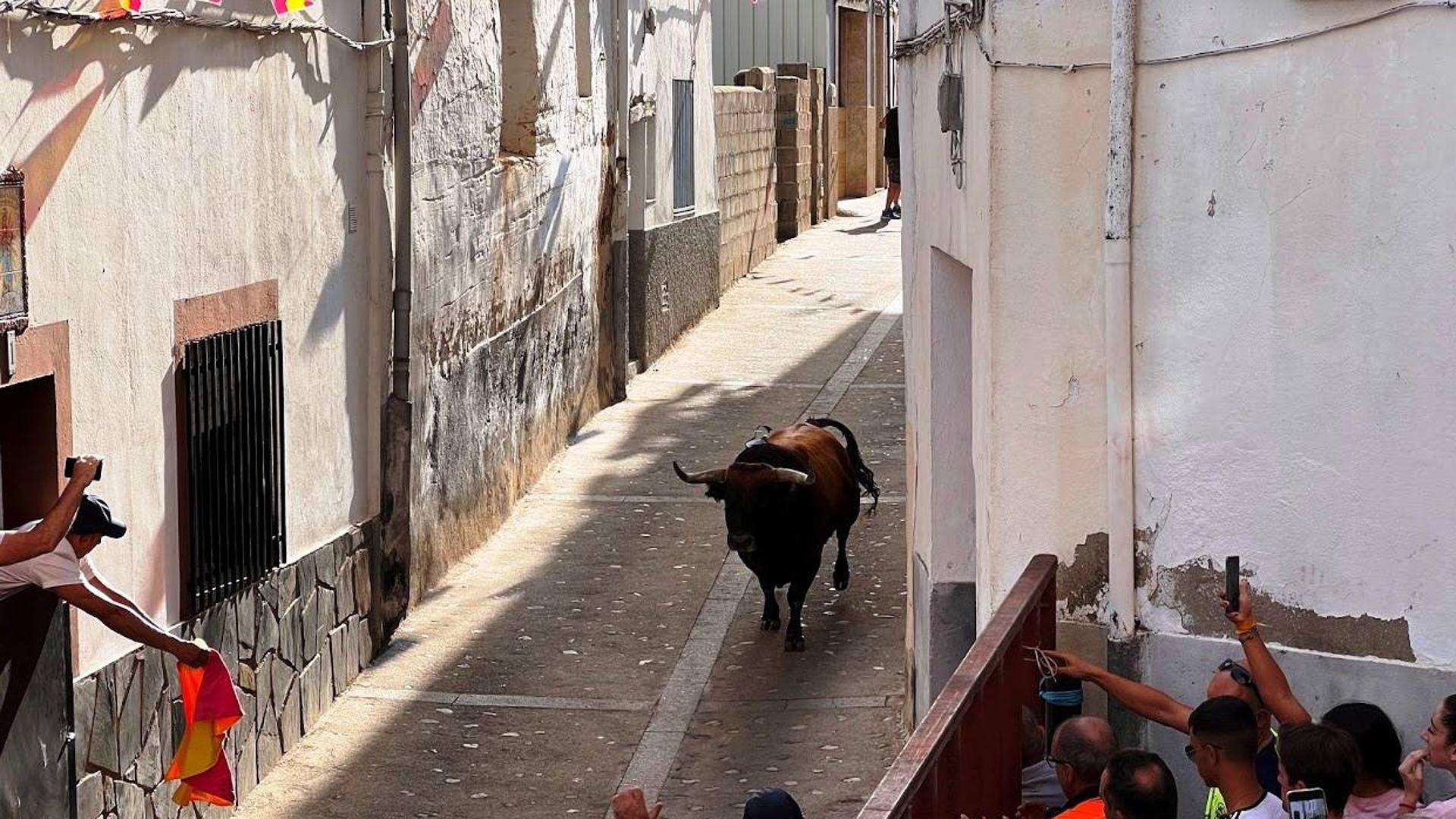 Hoy, lidia de dos vaquillas matinales, dos toros vespertinos y uno ...
