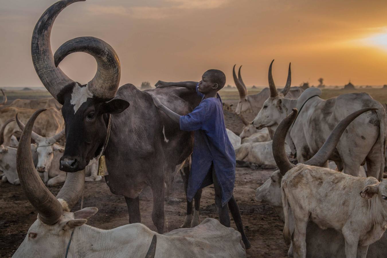 Fotos: La tribu Dinka de Sudán | Hoy
