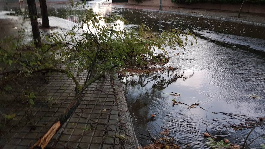 Fotos: Una tormenta afecta a una carpa del recinto ferial de Mérida | Hoy