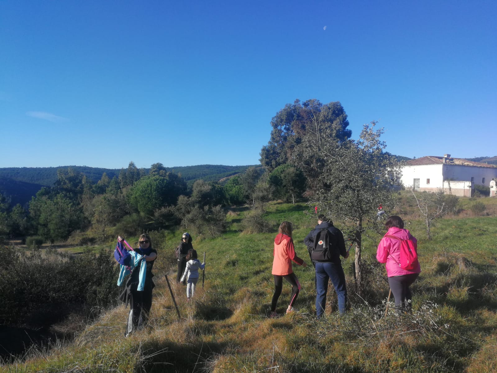Plantabosques Llegó A Las Hurdes Este Fin De Semana Hoy