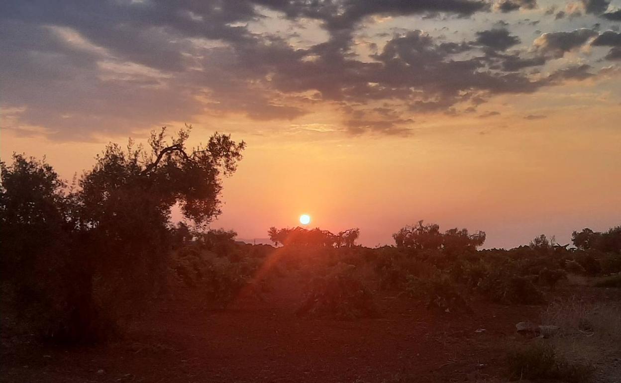 Los Santos en alerta naranja por temperaturas máximas que hoy domingo ...