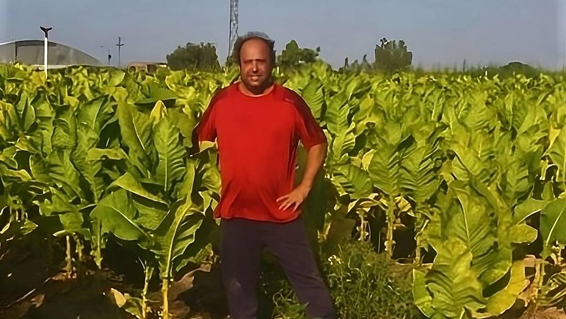 «Esta campaña va a ser mala, pero el tabaco tiene futuro» | Hoy