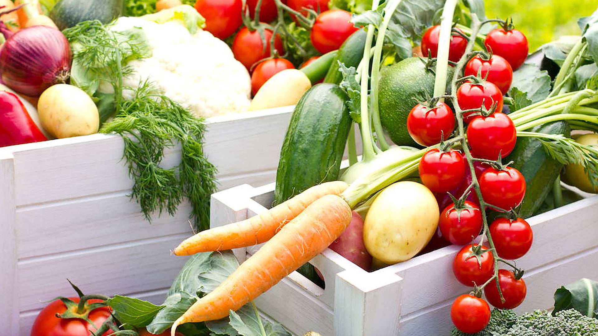 Ana Zafra: Envoltorios y envolventes | Hoy