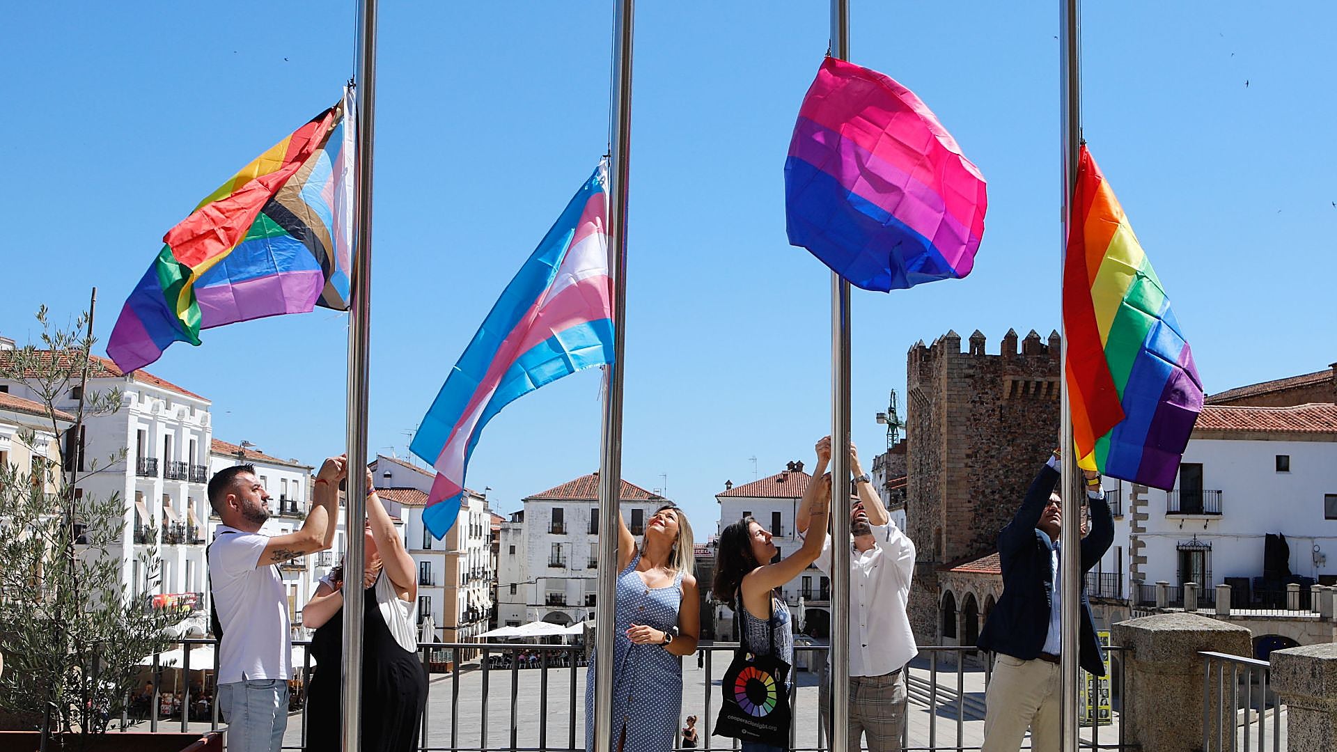 Condenados a costas cuatro particulares que denunciaron el izado de ...