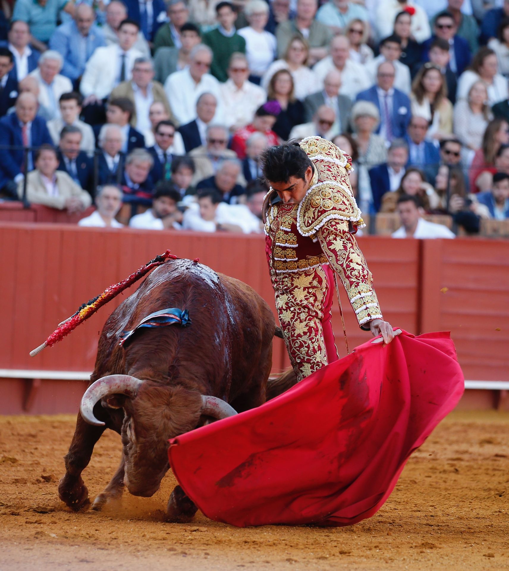 Gran faena del torero extremeño Miguel Ángel Perera en Sevilla | Hoy