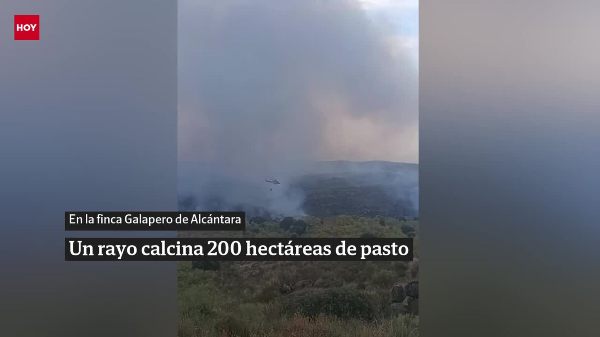 Un rayo calcina cerca de 200 hectáreas de pasto en la finca Galapero de ...
