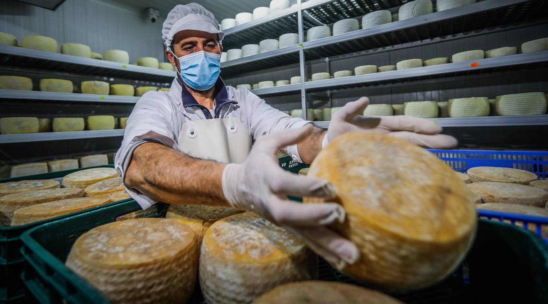 Las queserías granadinas consiguen 16 medallas en los Mundiales de ...