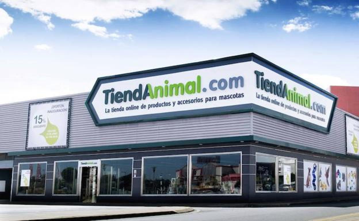 Black Friday 2021: Tienda Animal lanza descuentos en todos sus ...