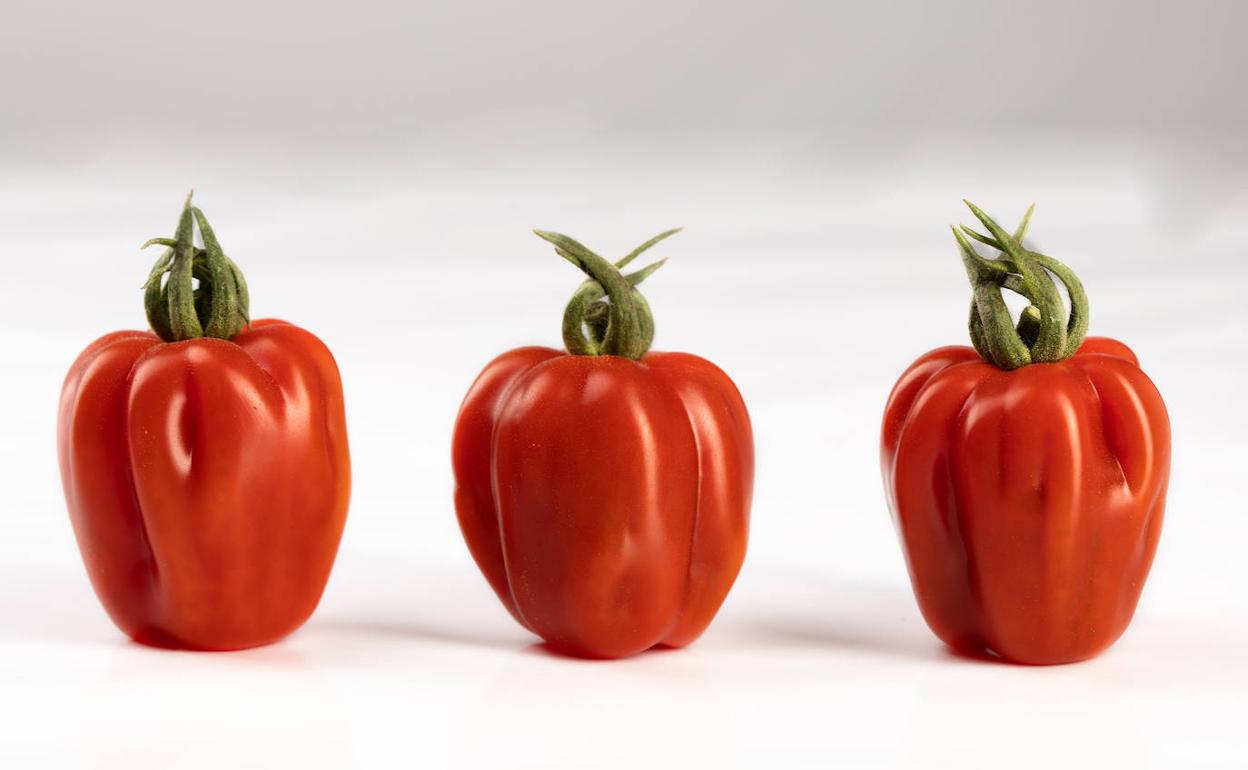 Semillas Fitó presentará en Fruit Attraction el tomate Wabi-Sabi y el melón Little Planet | Ideal