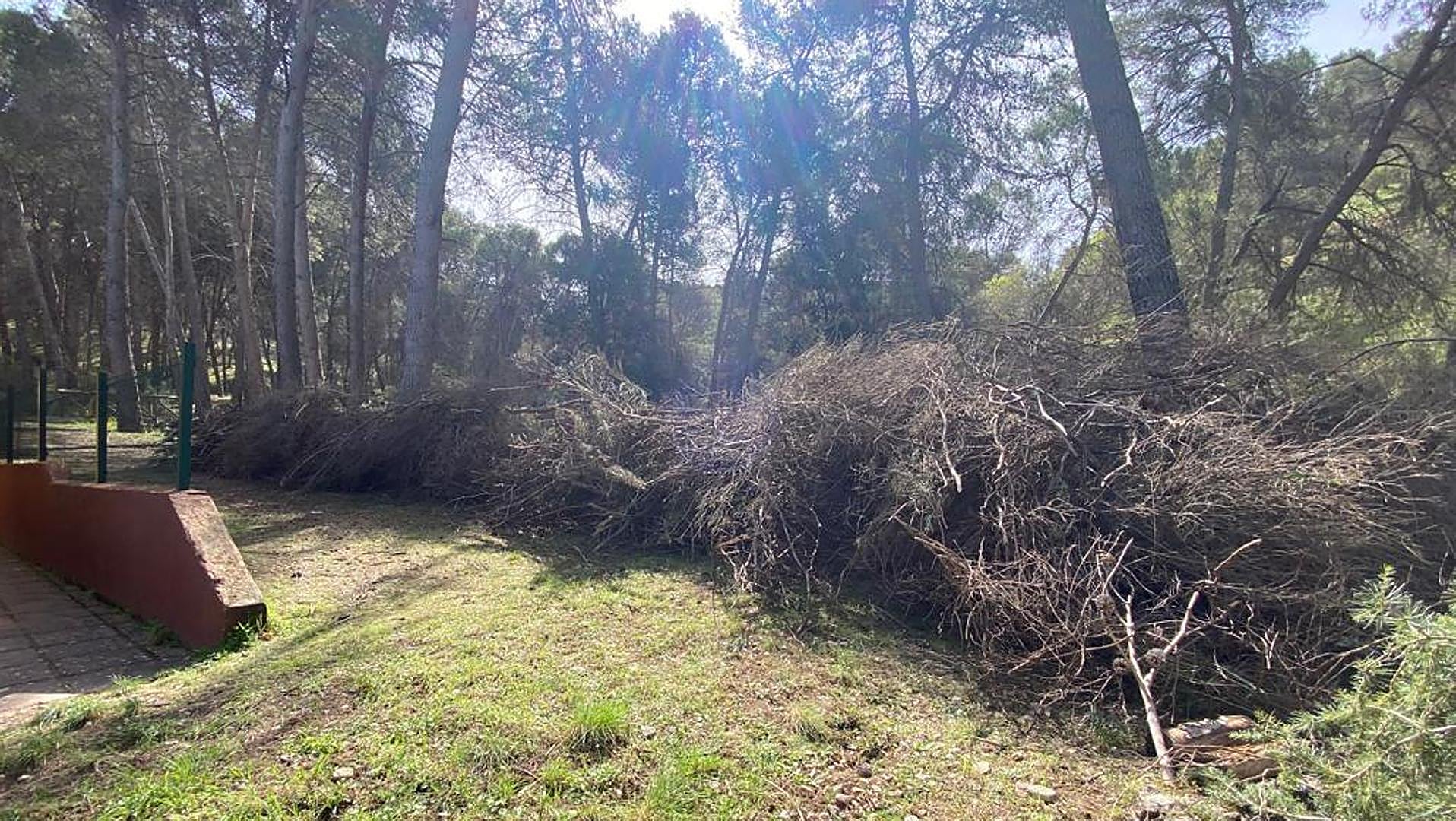 15 contenedores se han cargado con deshecho forestal en la Cañada de ...