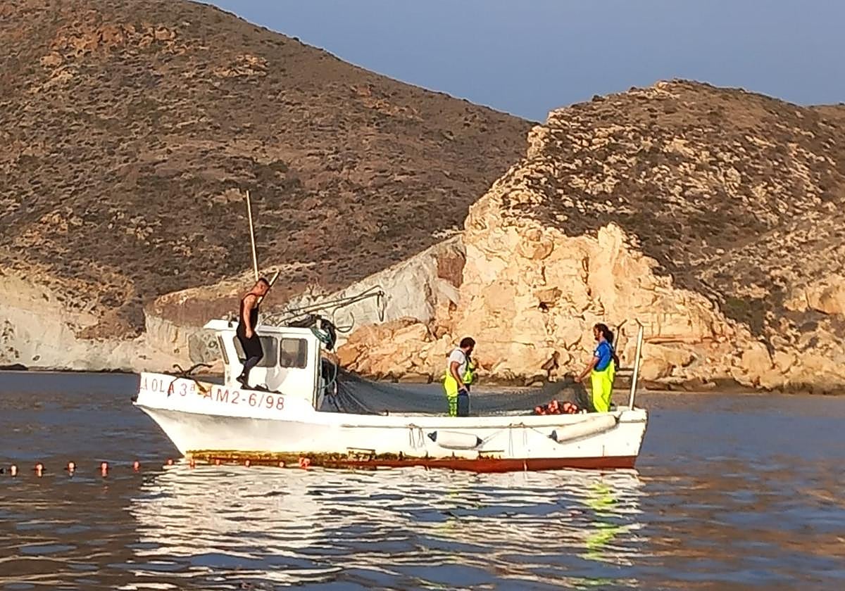 El arte de pesca moruna en otoño | Ideal