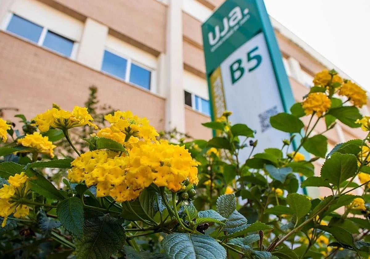 La UJA se movilizará en septiembre tras el rechazo al grado de ...