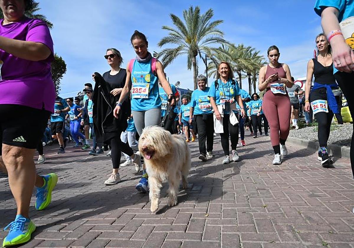 Amelia Martín y Joan Carles March: Autismo en Andalucía: inclusión en ...