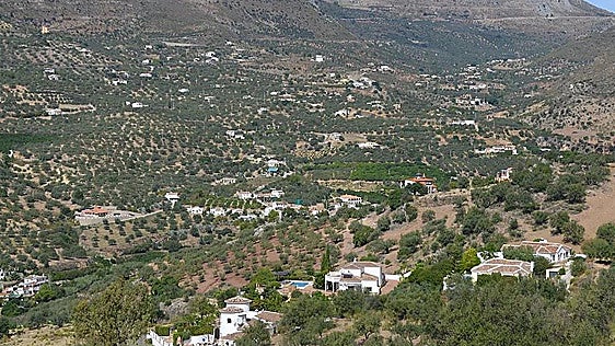 IDEAL de Jaén | Últimas noticias