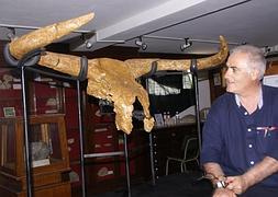 Un morlaco de 700.000 años | Ideal