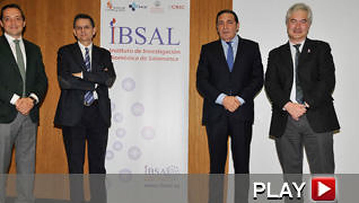 El Ibsal cumple cinco años con el objetivo de proyectarse hacia el resto de la Región | La ...