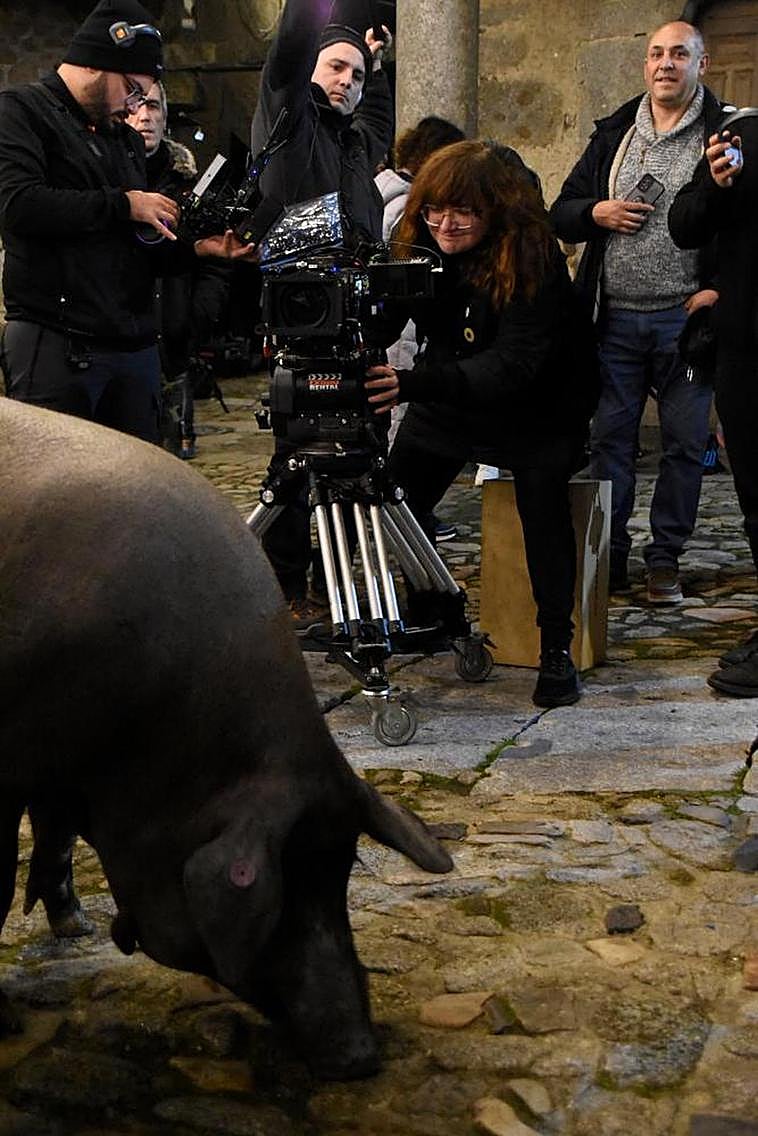 La Alberca rifa este sábado al famoso marrano de San Antón | La Gaceta ...