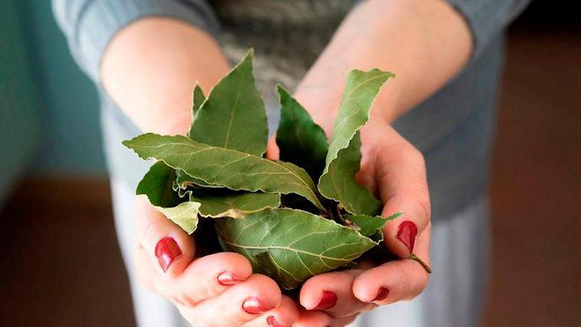 La planta que te ayudará a dormir mejor | La Gaceta de Salamanca