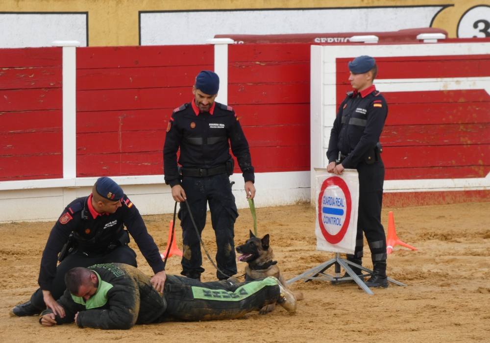 La Guardia Real se exhibe en La Florida de Peñaranda | La Gaceta de ...