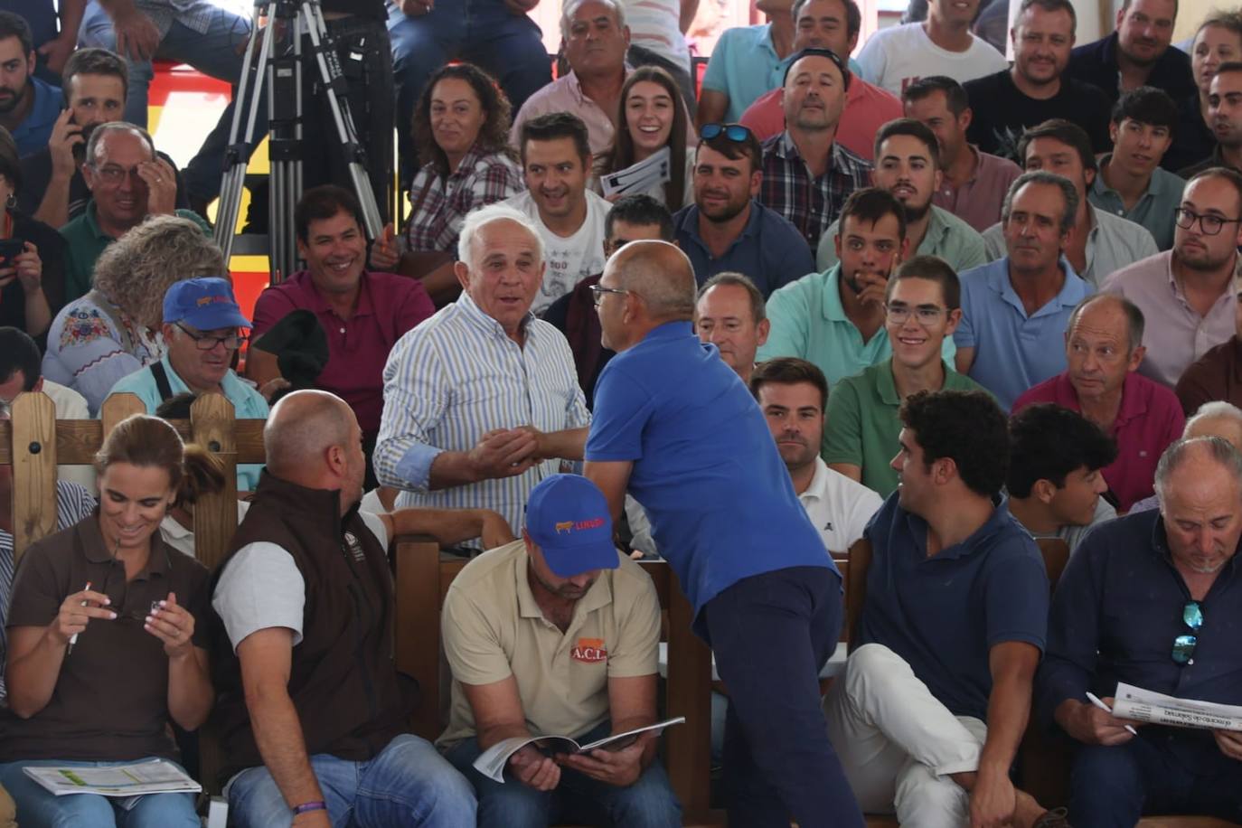Éxito rotundo en la subasta de vacuno de 'Salamaq 2025' por los ...
