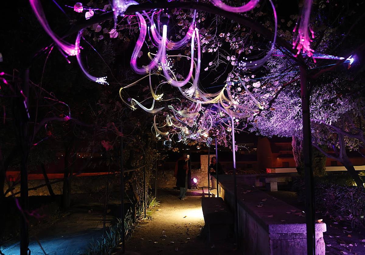 A qué hora abre y cierra el 'jardín mágico' del Huerto de Calixto y ...