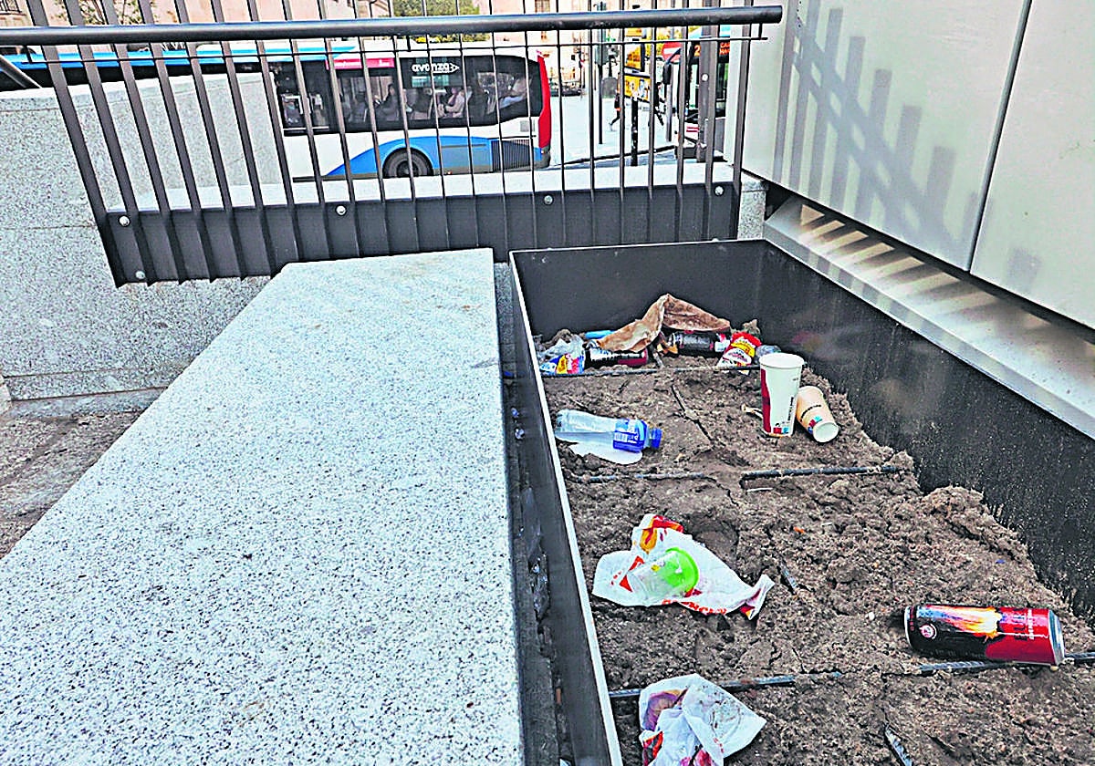 La basura florece por todas partes | La Gaceta de Salamanca