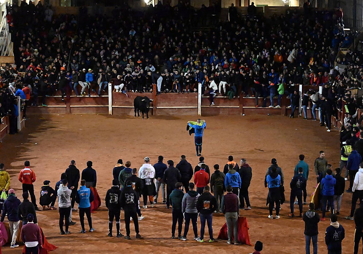 Una entretenida capea cierra la tarde del lunes en el Carnaval del Toro ...